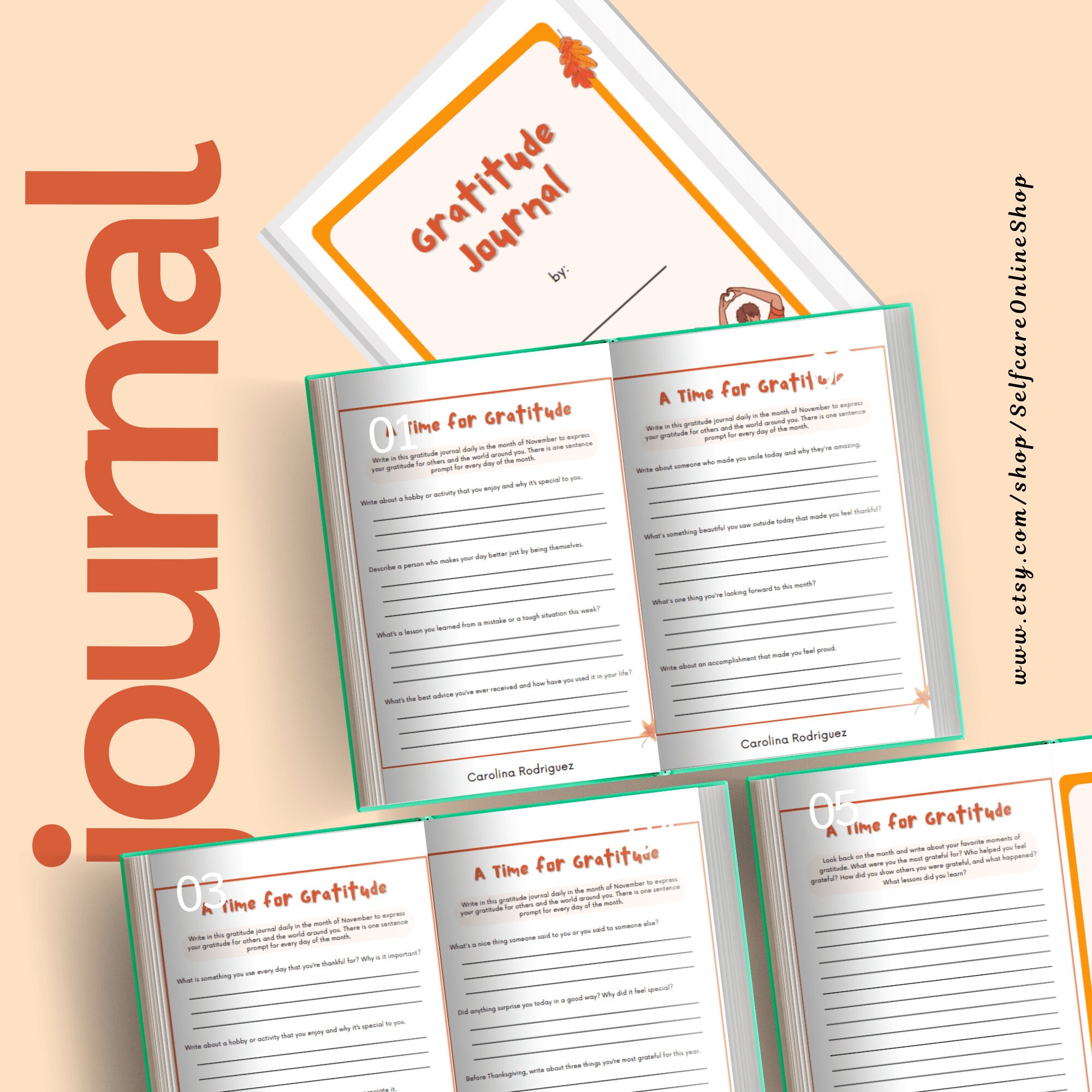 Minimalist Gratitude Journal Printable Template, Daily Gratitude Diary ...