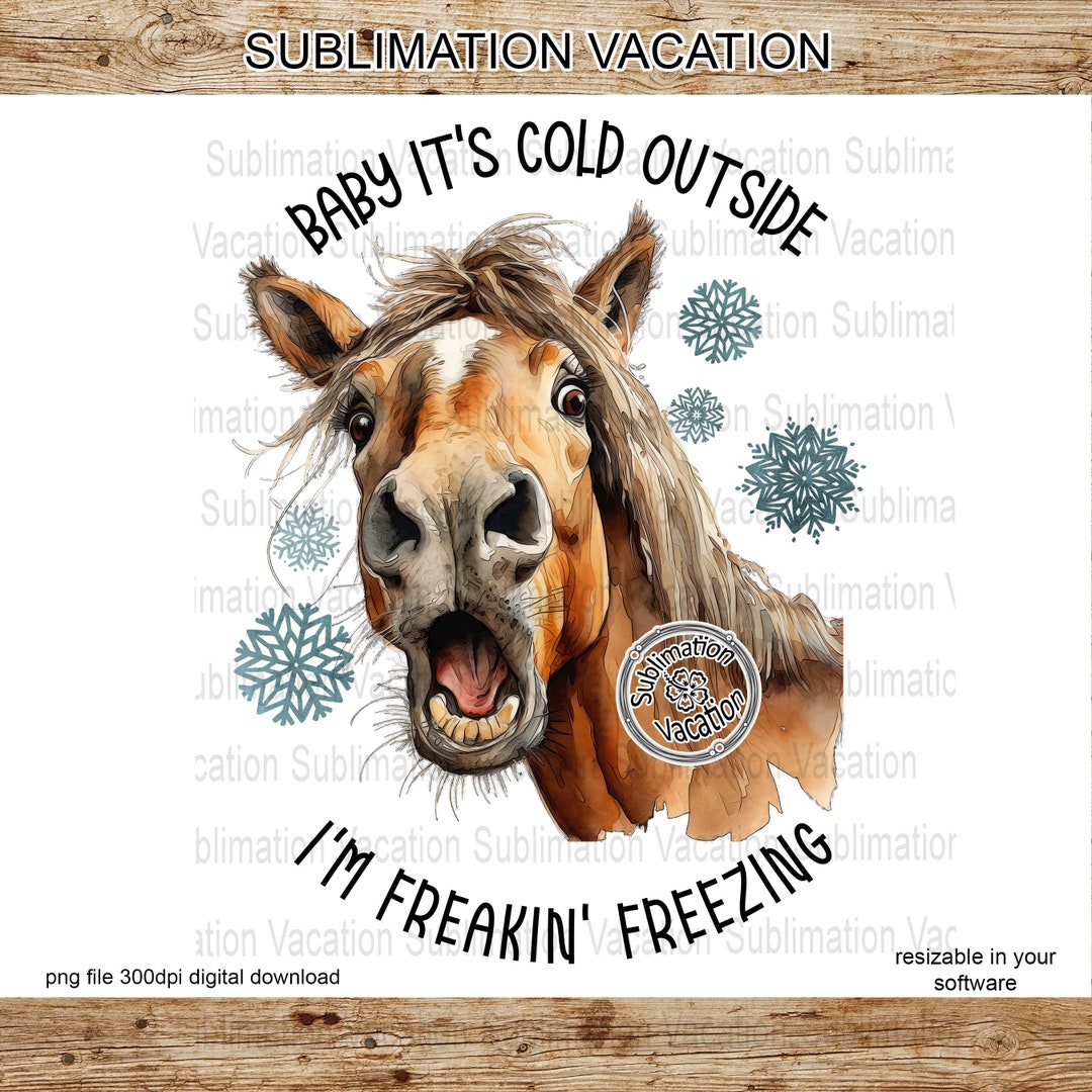 Funny Horse, Freakin' Freezing, Freakin Freezing Horse, Farm, Horse ...