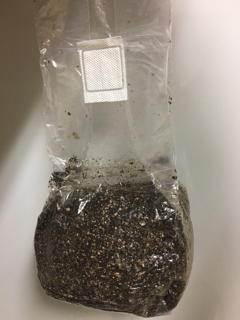 Mushroom Bulk Substrate Recipe - Banana-breads.com