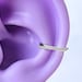 16g Clicker CZ Paved Conch Hoop, Conch Earring, Conch Ring Clicker ...