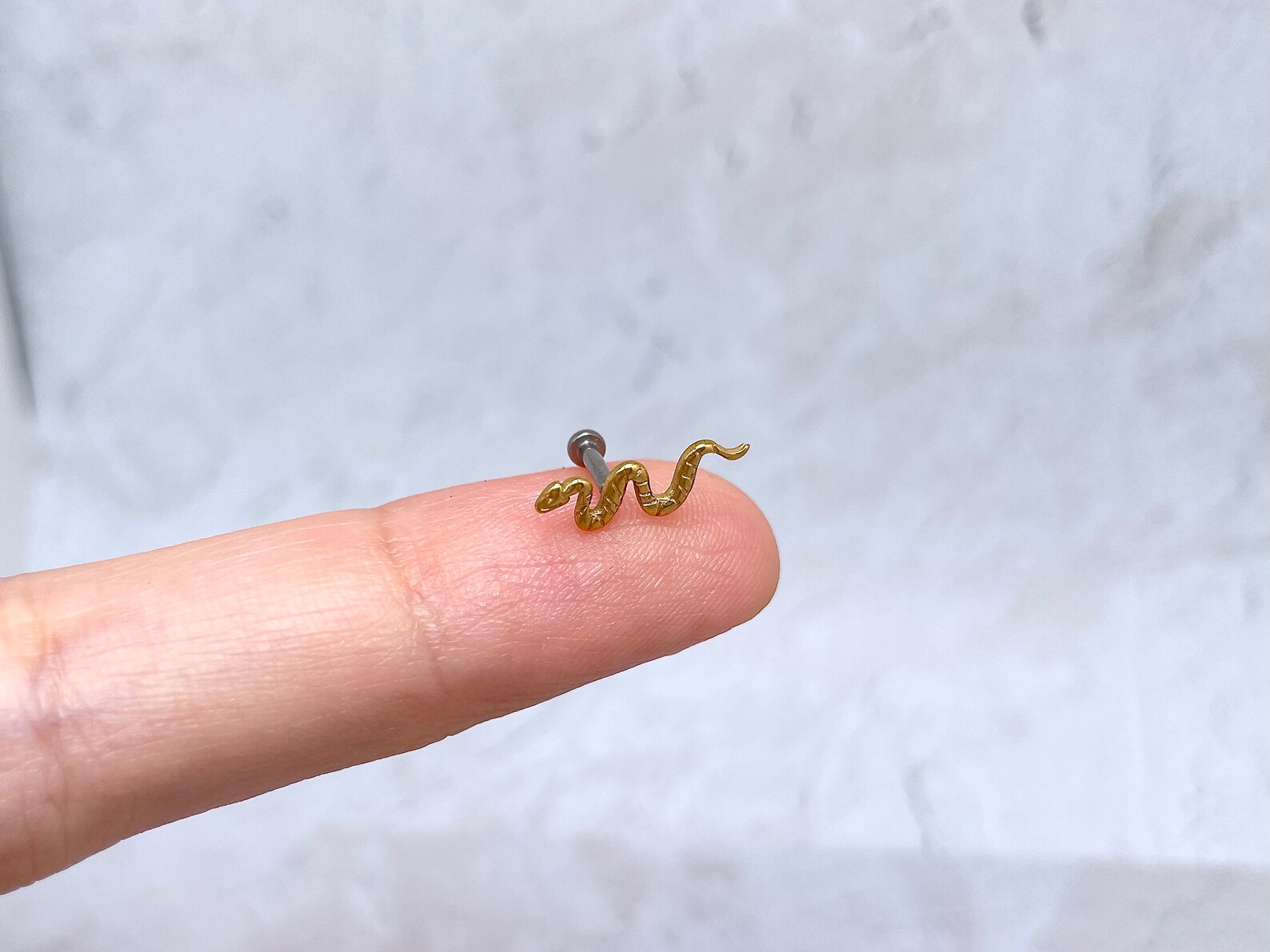 IMPLANT GRADE TITANIUM Dainty Snake Threadless Earring Labret - Etsy