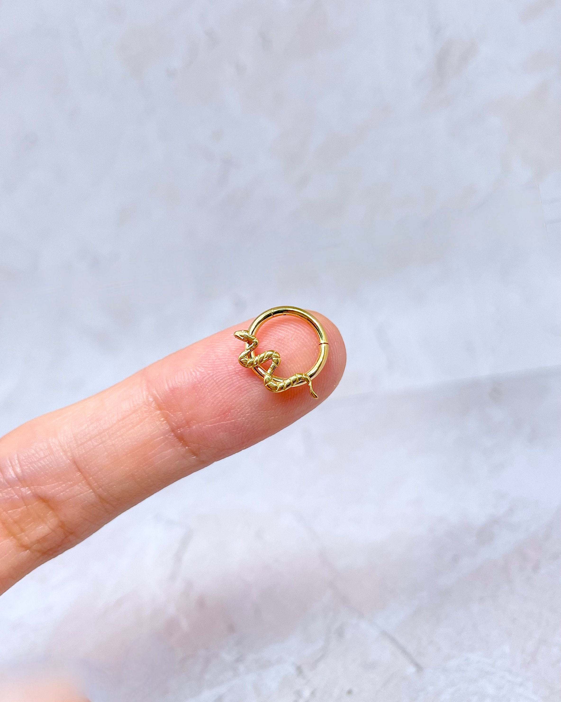 16g Dainty Snake Daith Earring, Daith Hoop, Daith Ring Clicker, G23 ...