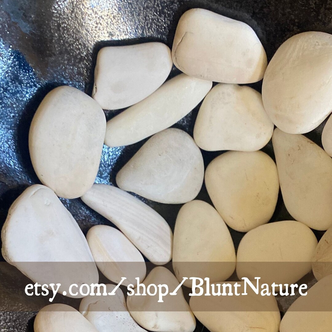 Weathered White Seashell Mosaic Pieces ~ 30 Count, Two Ounces ~ Quick ...