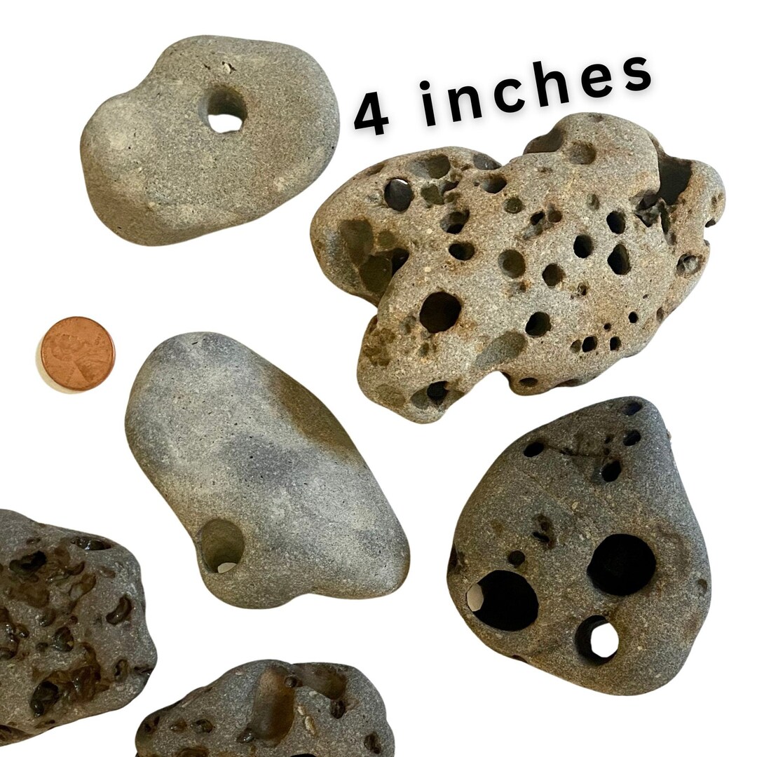 Six Neat Holey Rocks ~ 3 Pounds ~ Fast Shipping From California - Etsy