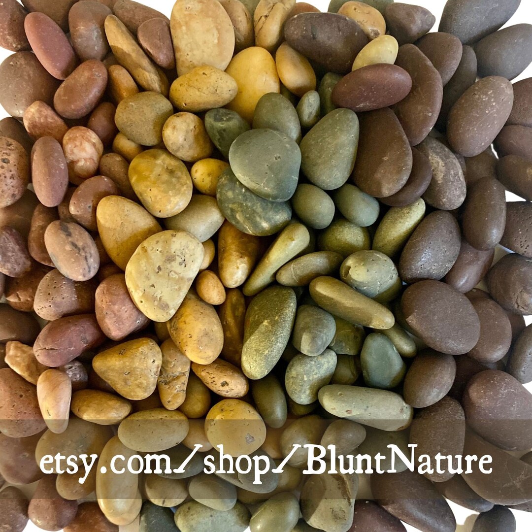 Rainbow Beach Pebbles, 1 Pound Sorted by Color ~ Quick Shipping From ...