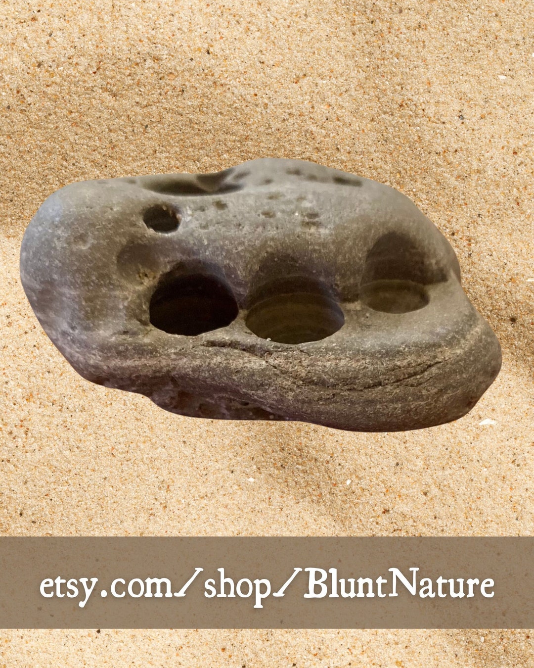 Palm-sized Holey Rock Beach Rock With Holes Quick Shipping From ...