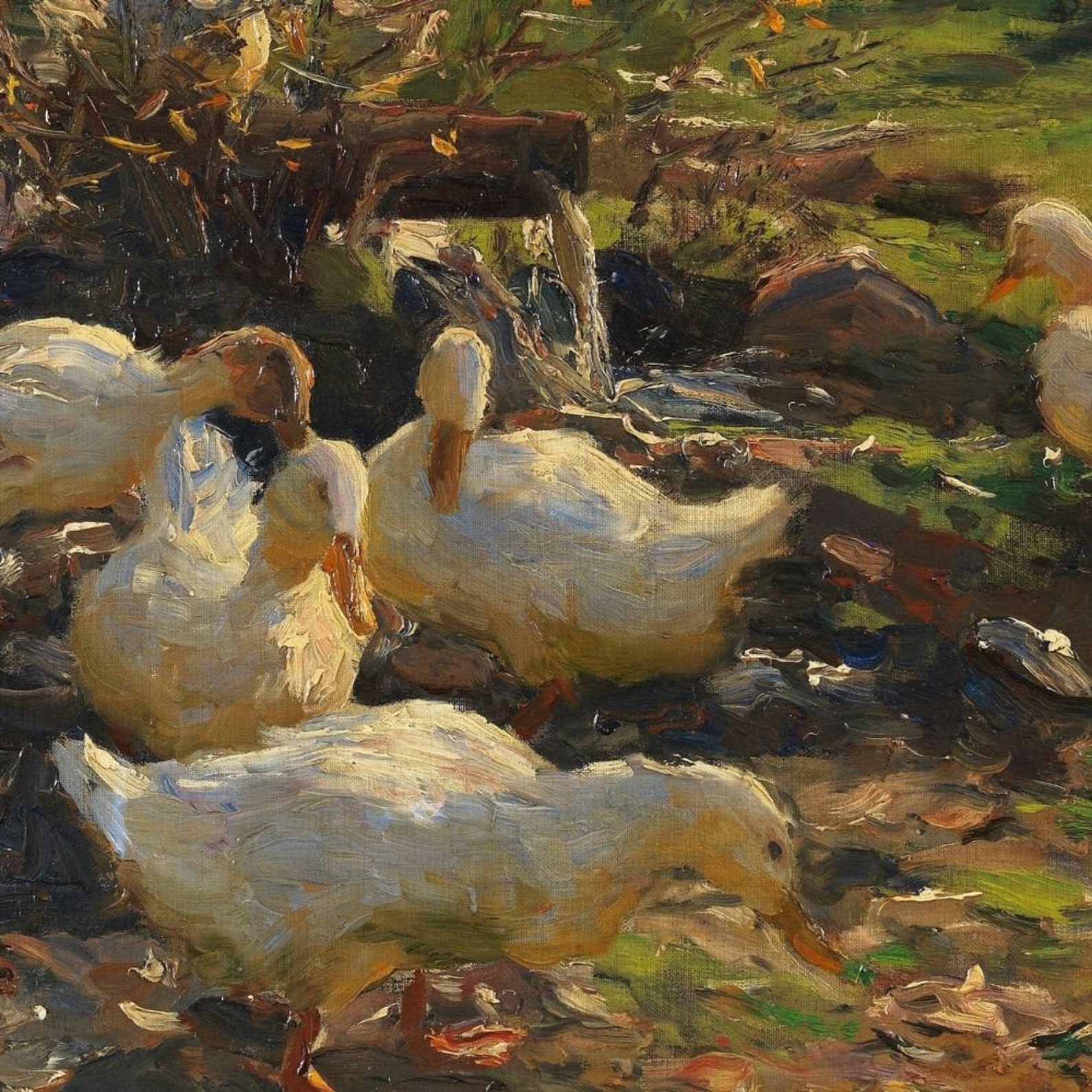 Vintage TV Art of Ducks, Vintage Painting of Ducks Gathering, Summer ...