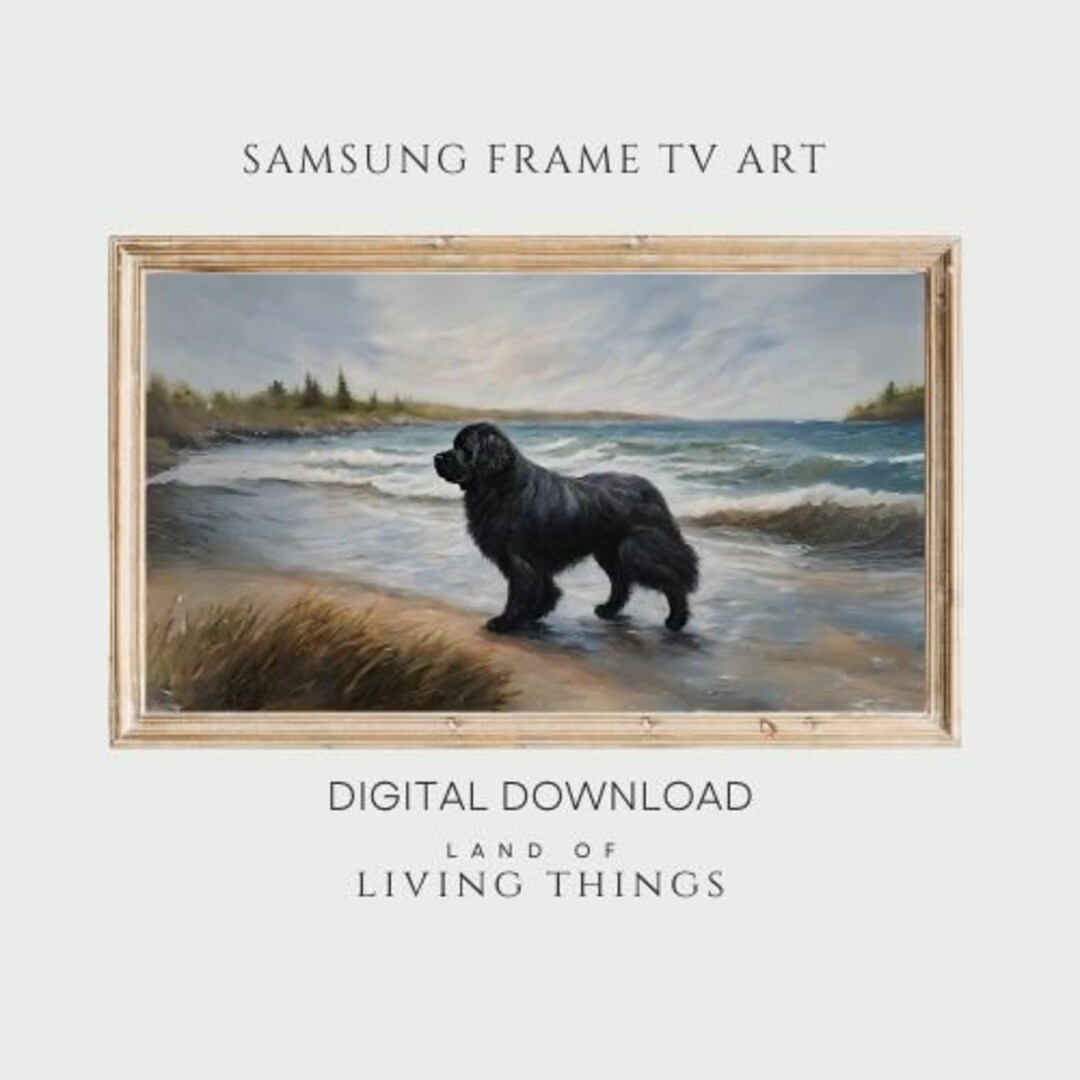 Newfoundland Dog Art for Frame Art TV, Samsung Frame TV - Etsy