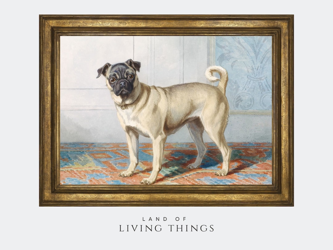 Pug Portrait, Vintage Pug Portrait Print, Pug Painting Printed and ...