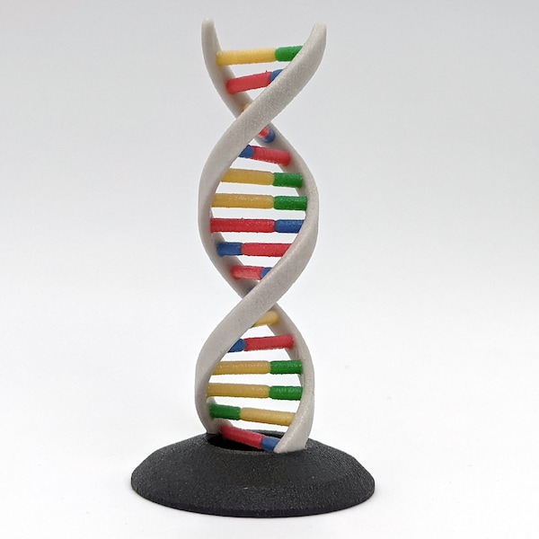 Dna Art - Etsy