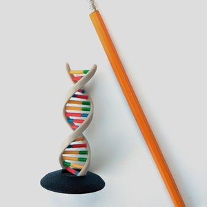 DNA Helix Desk Model Display Ornament 3D Printed Glossy Color Sandstone ...