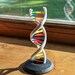 DNA Helix Desk Model Display Ornament 3D Printed Glossy Color Sandstone ...
