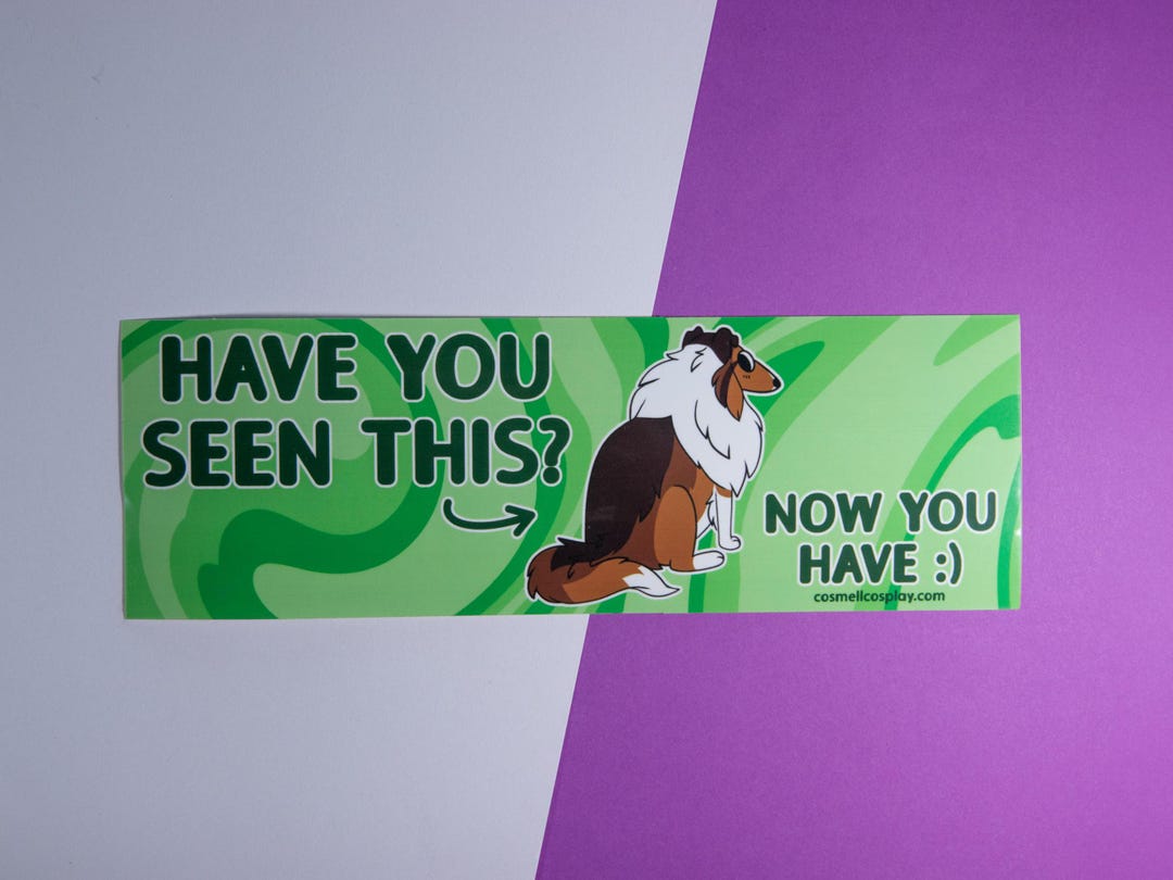 Have You Seen This? Bumper Sticker | Sheltie Bumper Sticker - Etsy