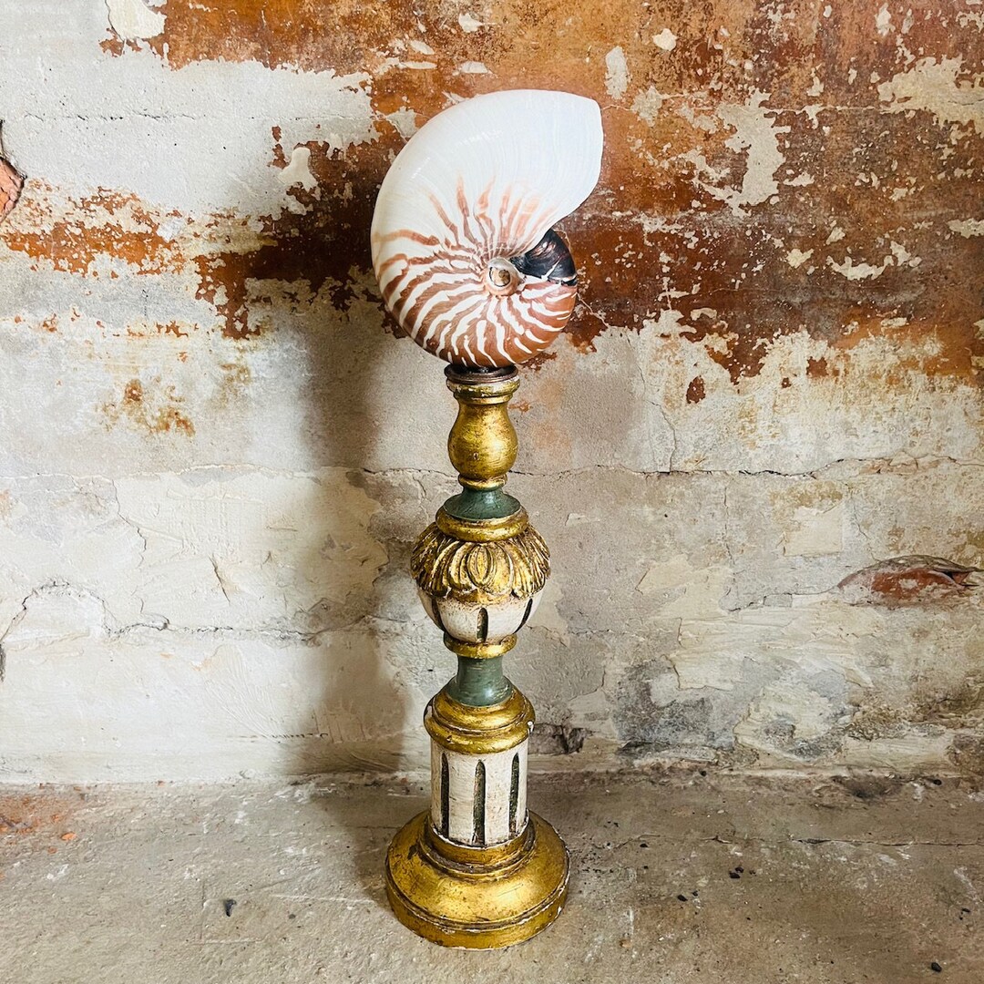 Old Nautilus Shell Mounted on a 19th Century Polychrome Wooden Base ...