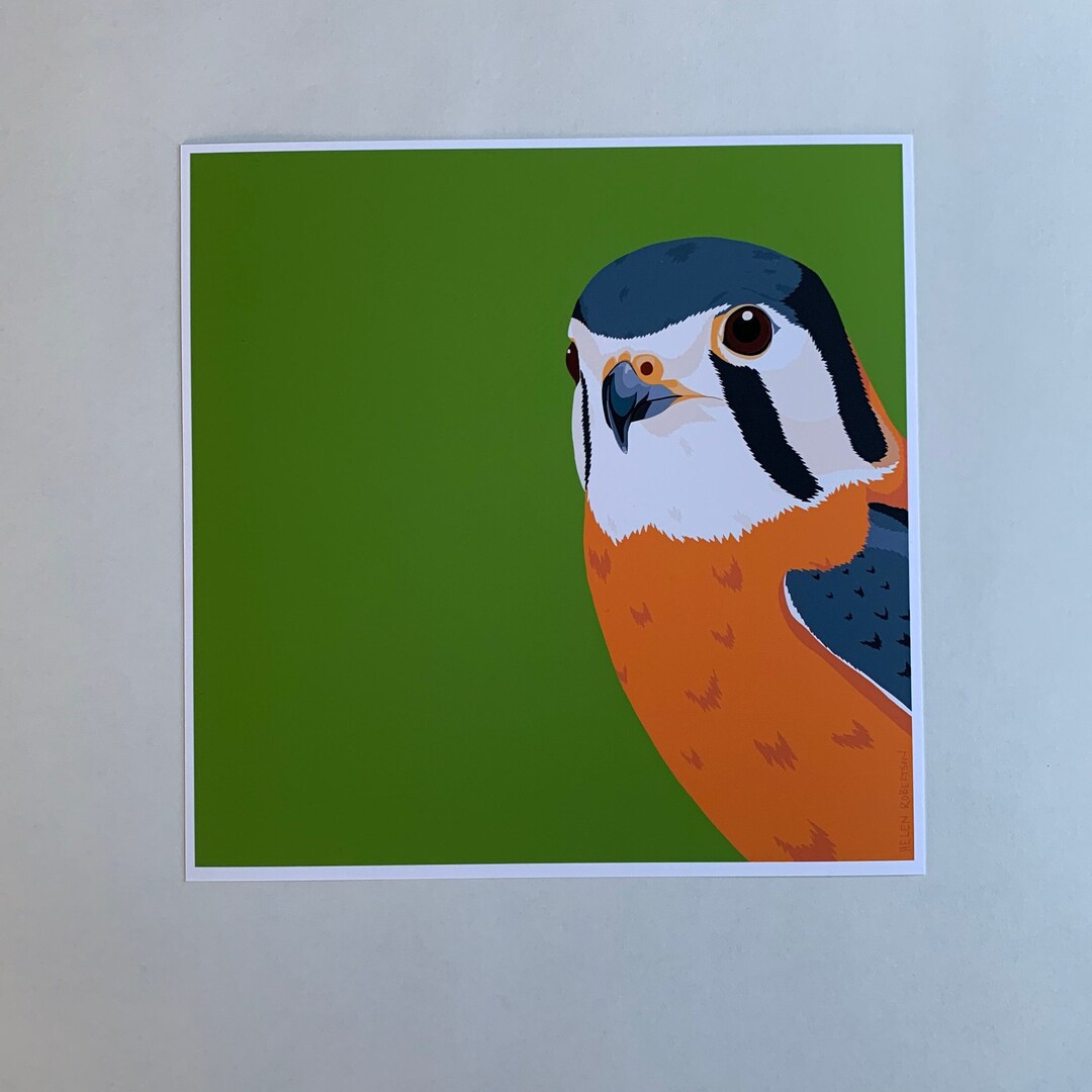 Art Print - American Kestrel | Wall Art, Bird Art Print, Bird Art - Etsy