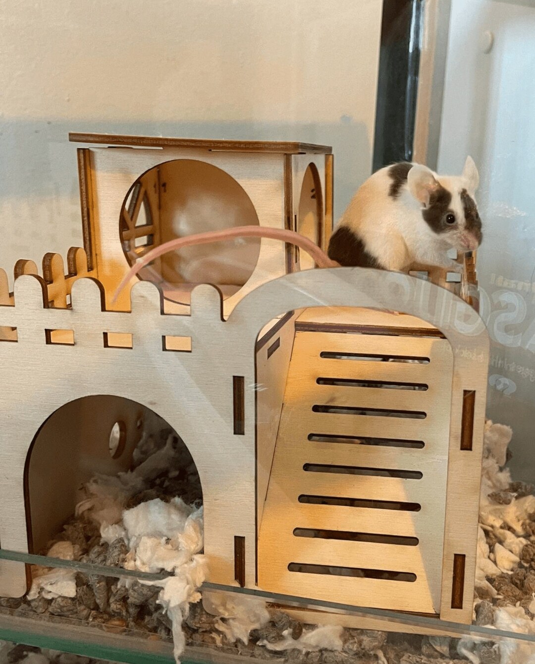 Pet House Mouse a Unique Small Play Place for Your Loved Rodent - Etsy UK