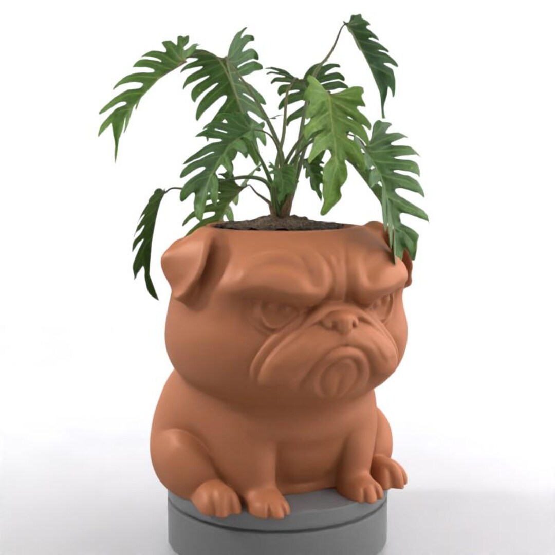 Angry Dog Pug Animal Design - Whimsical Succulent Planter, Pot, Pen ...