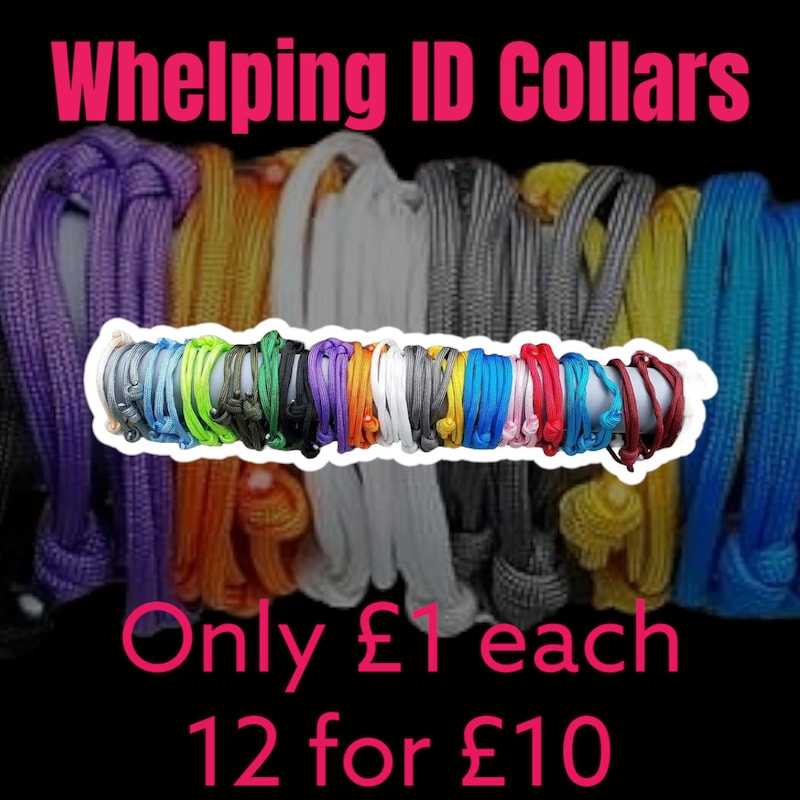 Whelping Collars - Etsy