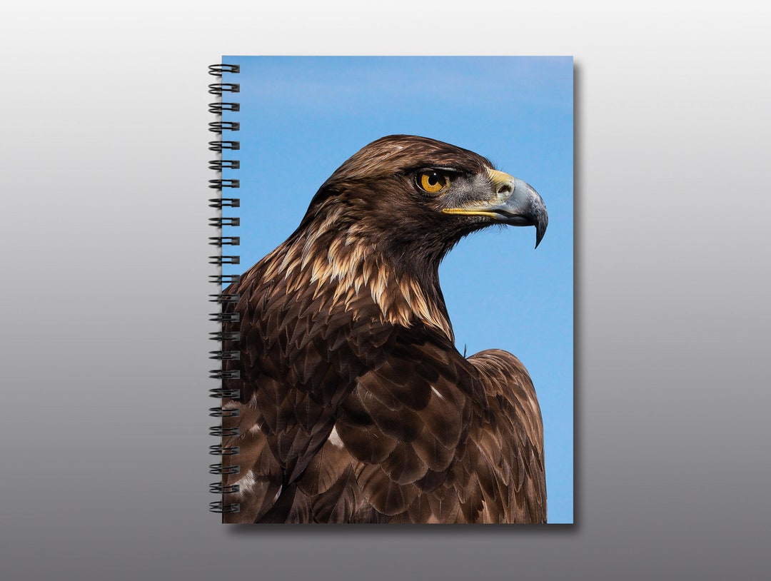 Spiral Notebook - Golden Eagle Portrait - Etsy