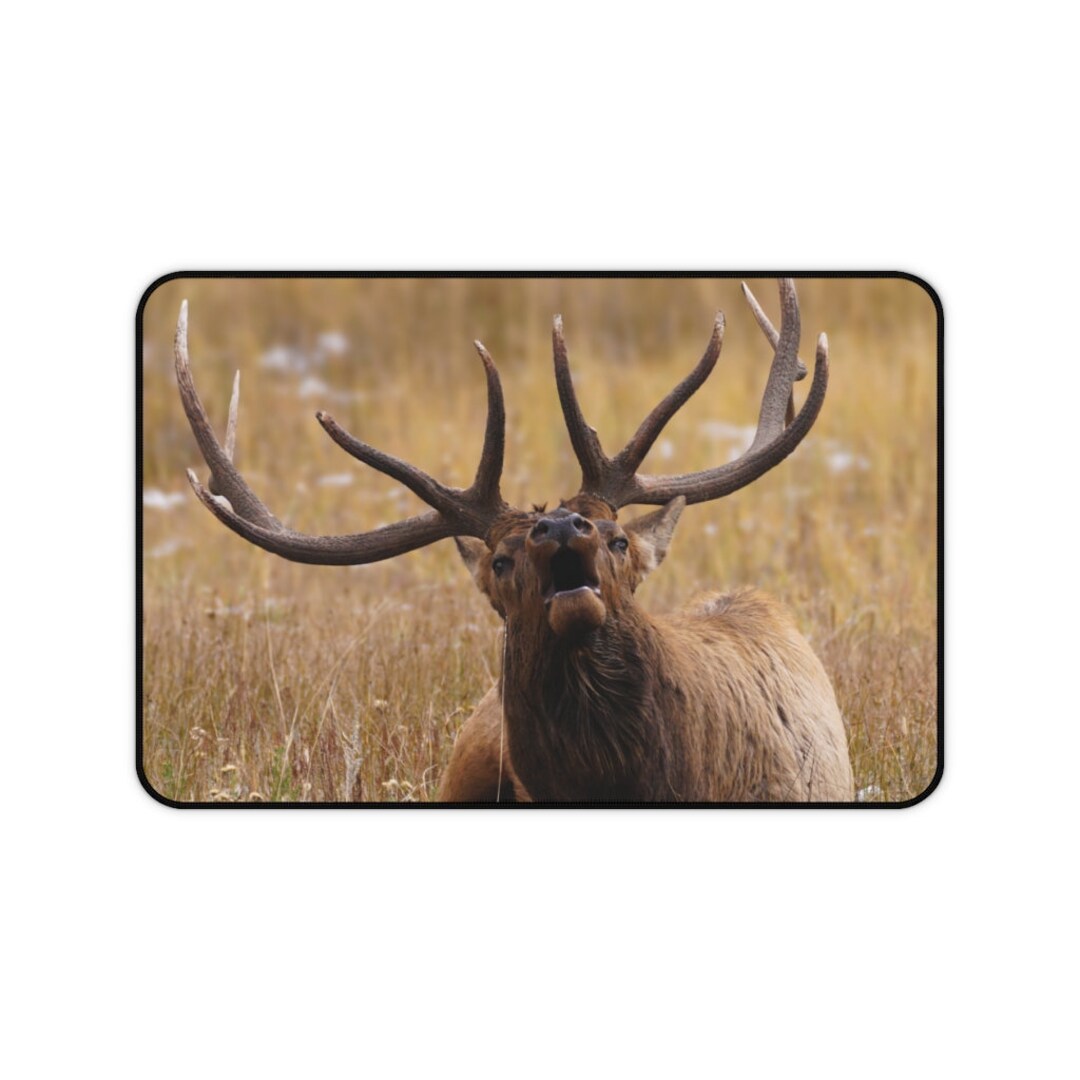 Desk Mat - Laying Down on the Job - Etsy