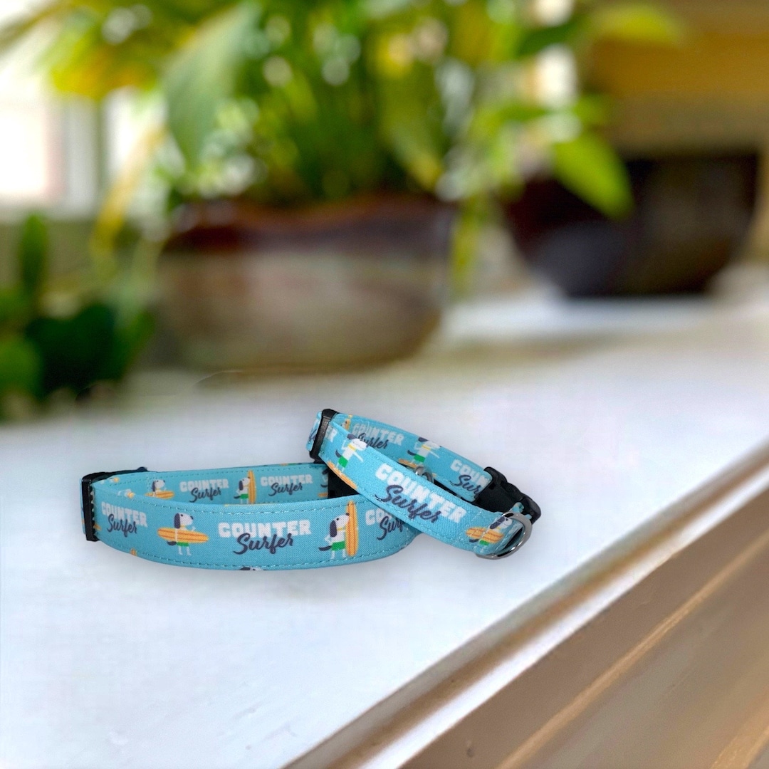 Counter Surfer in Blue Dog Collar- Martingale- Quick Release- No Buckle ...