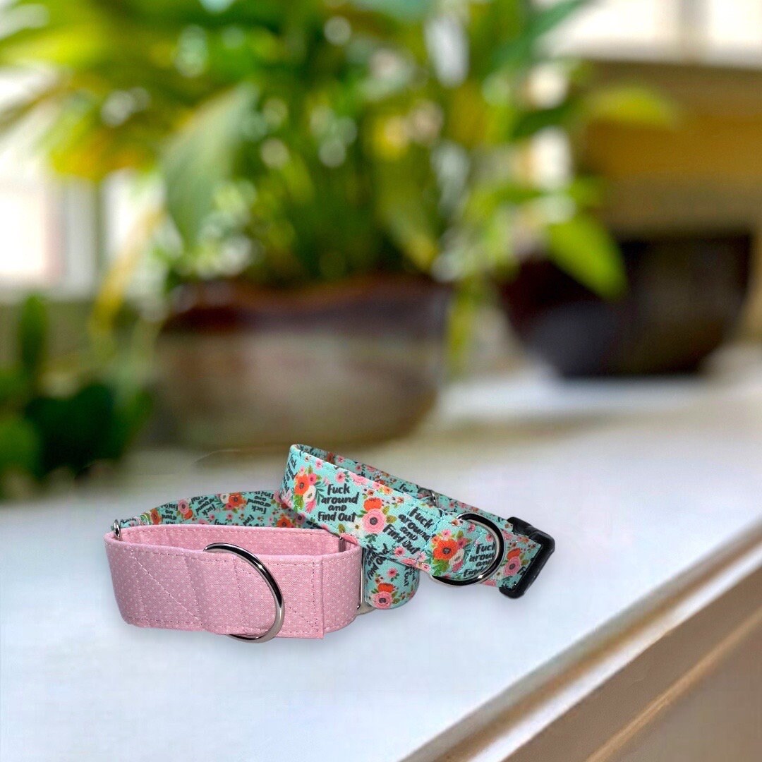 FAFO Dog Collar- Martingale- Quick Release- No Buckle Slide- Leash- Handmade Dog Collars - Etsy