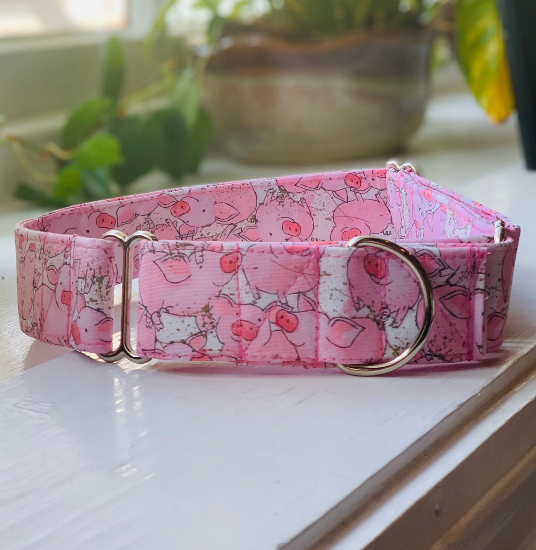 Pigs Dog Collar- Martingale- Quick Release- No Buckle Slide- Leash ...