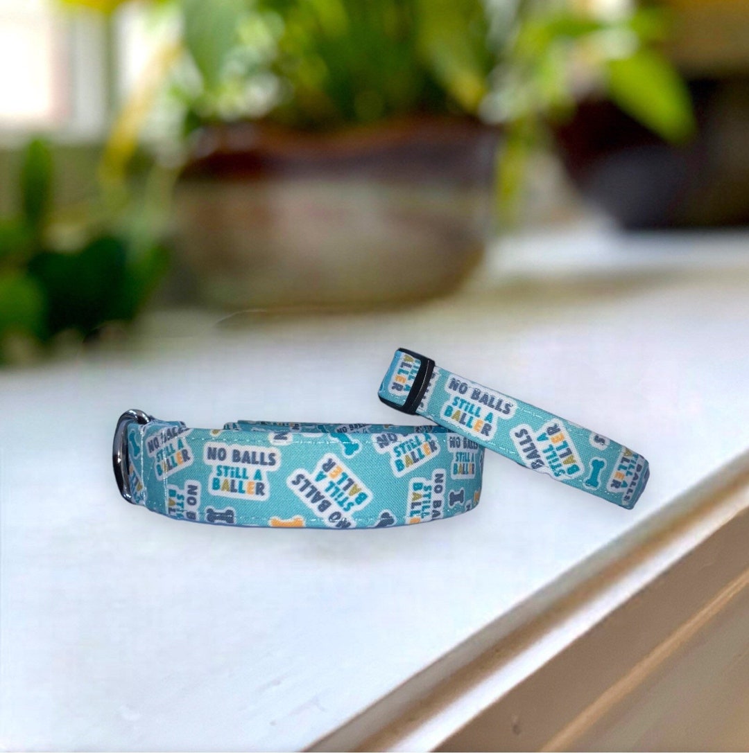 No Balls, Still a Baller Dog Collar- Martingale- Quick Release- No ...