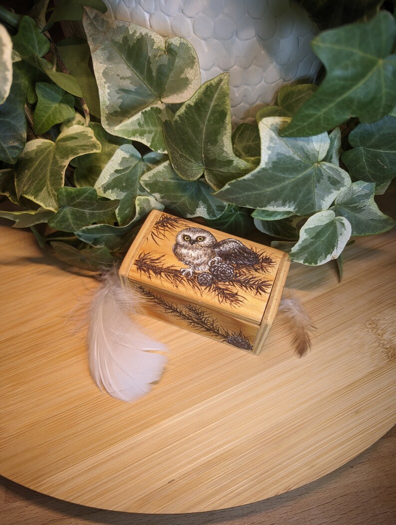 Northern Saw-whet Owl Hand Painted Wooden Box Night Bird, Eggs, Wood ...