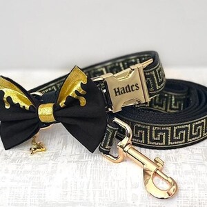 Versace dog collars store