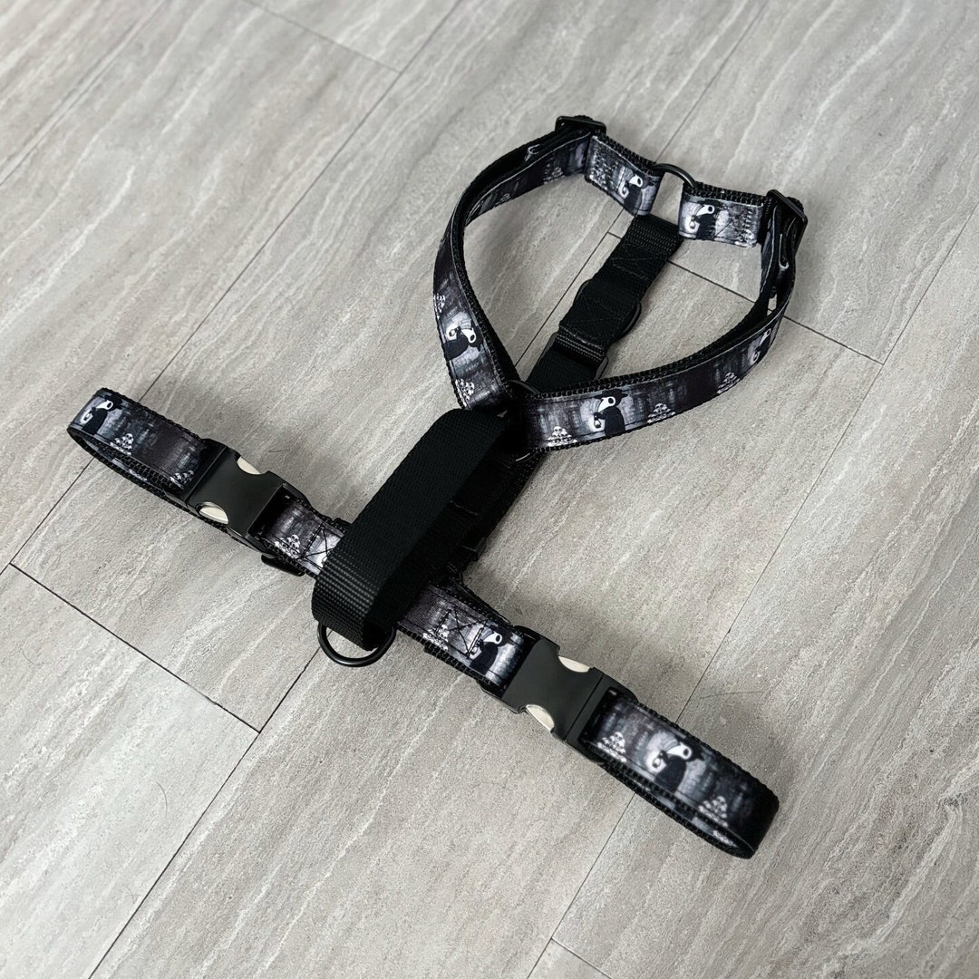 DOC HARNESS Gothic Plague Doctor Dog Harness 5/8 or 1 Adjustable Y ...