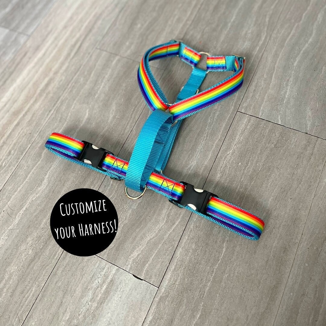 IRIS HARNESS Custom Rainbow Dog Harness Adjustable Harness With Handle Dual Clip Harness No Pull ...
