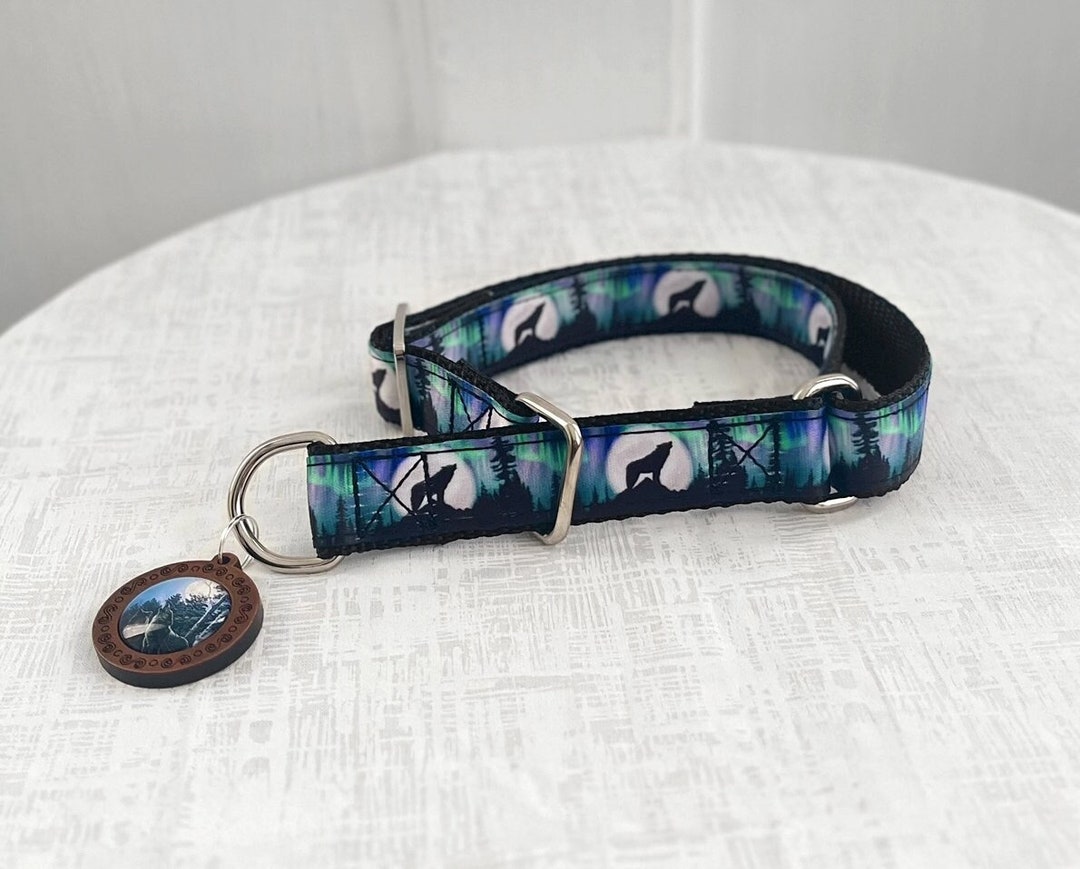 CHEYENNE Limited Slip - Wolf Dog Collar - Northern Lights Limited Slip ...