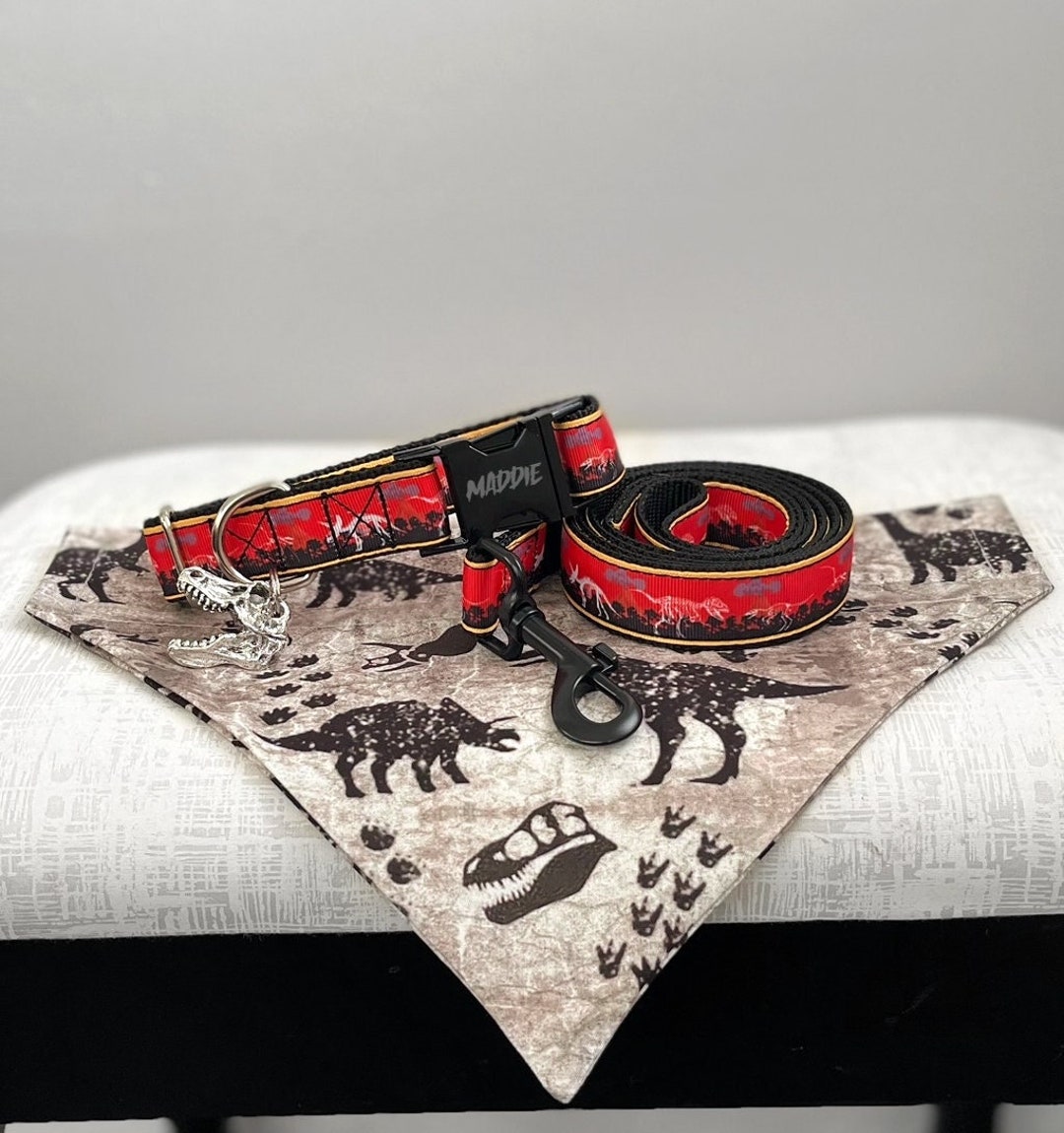REX SET - Dinosaur Dog Collar and Leash Set - 3 Piece Jurassic Dog ...