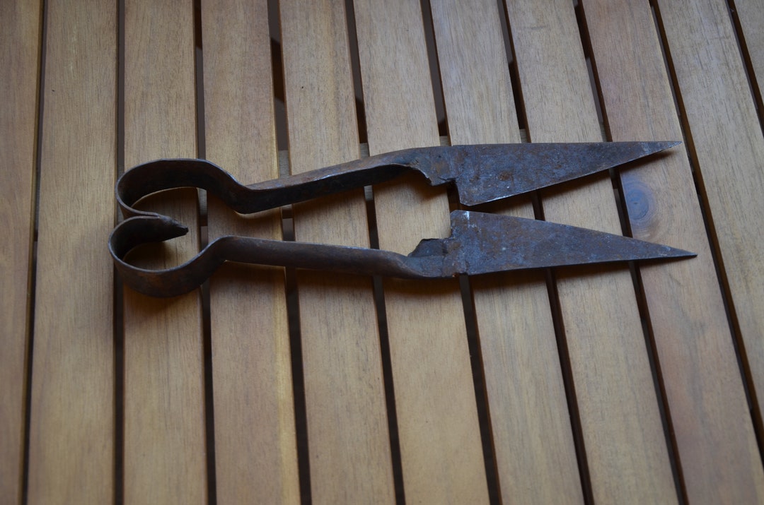 Old Metal Scissors, Vintage Sheep Shears, Antique Scissors, Rusty Tools ...