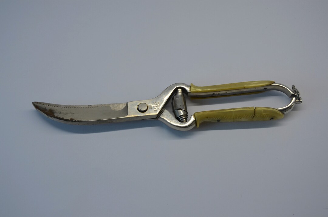Vintage BOKER SOLINGEN Kitchen Scissors: Chromium Plated Stainless ...