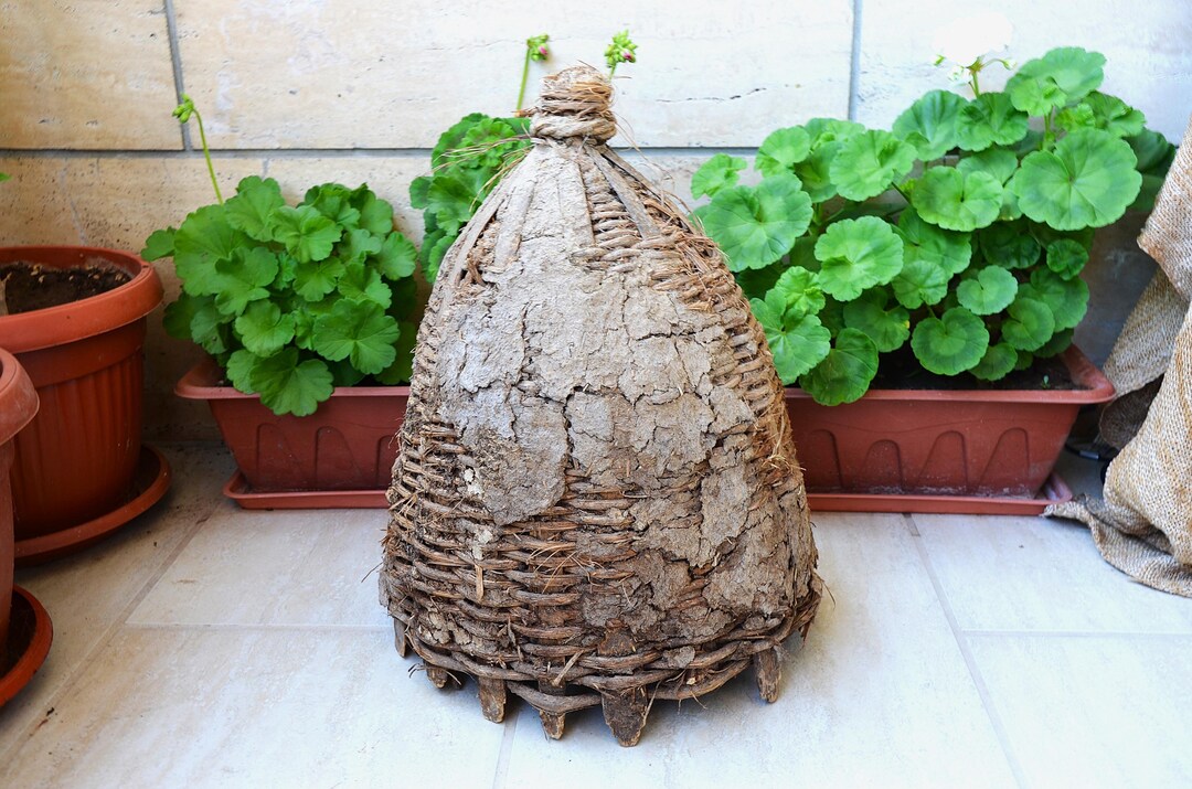 Antique Bee Skep From Eastern Europe, Exceptional Huge Antique Bee Skep ...