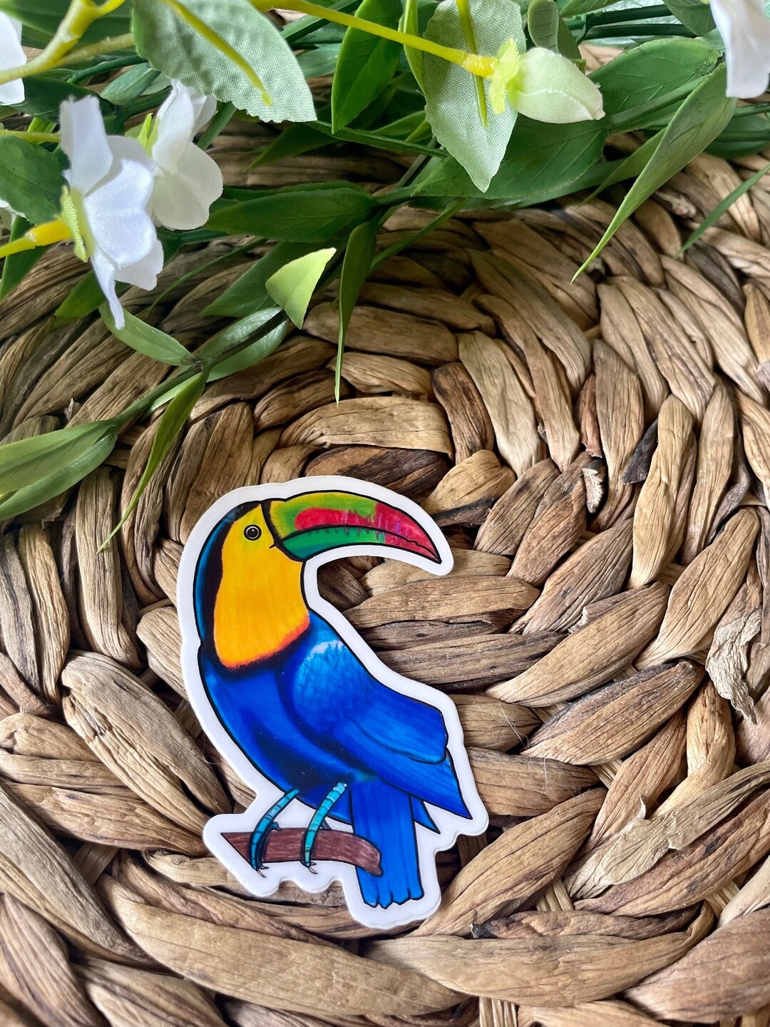 Toucan Sticker | Aesthetic Stickers, Stickers for Water Bottle, Laptop ...