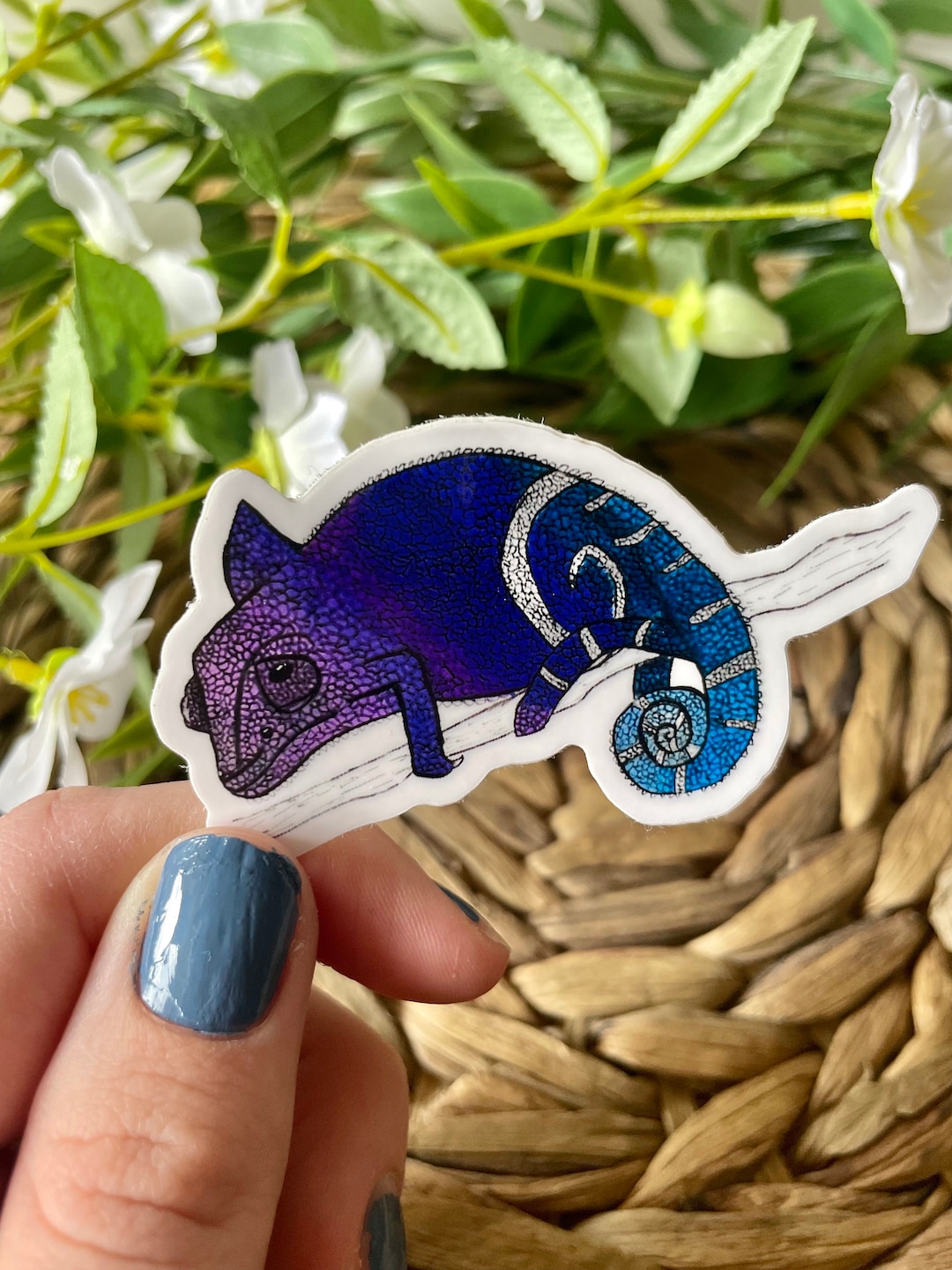 Chameleon Sticker | Reptile Stickers, Aesthetic Stickers, Stickers for ...