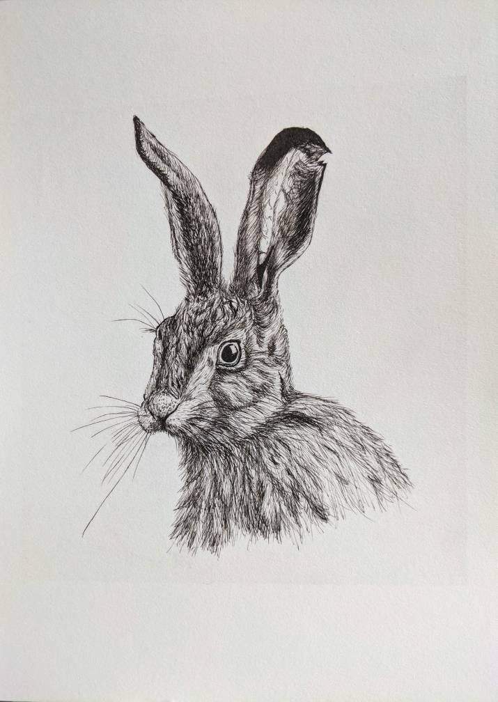 Hare Print - Etsy