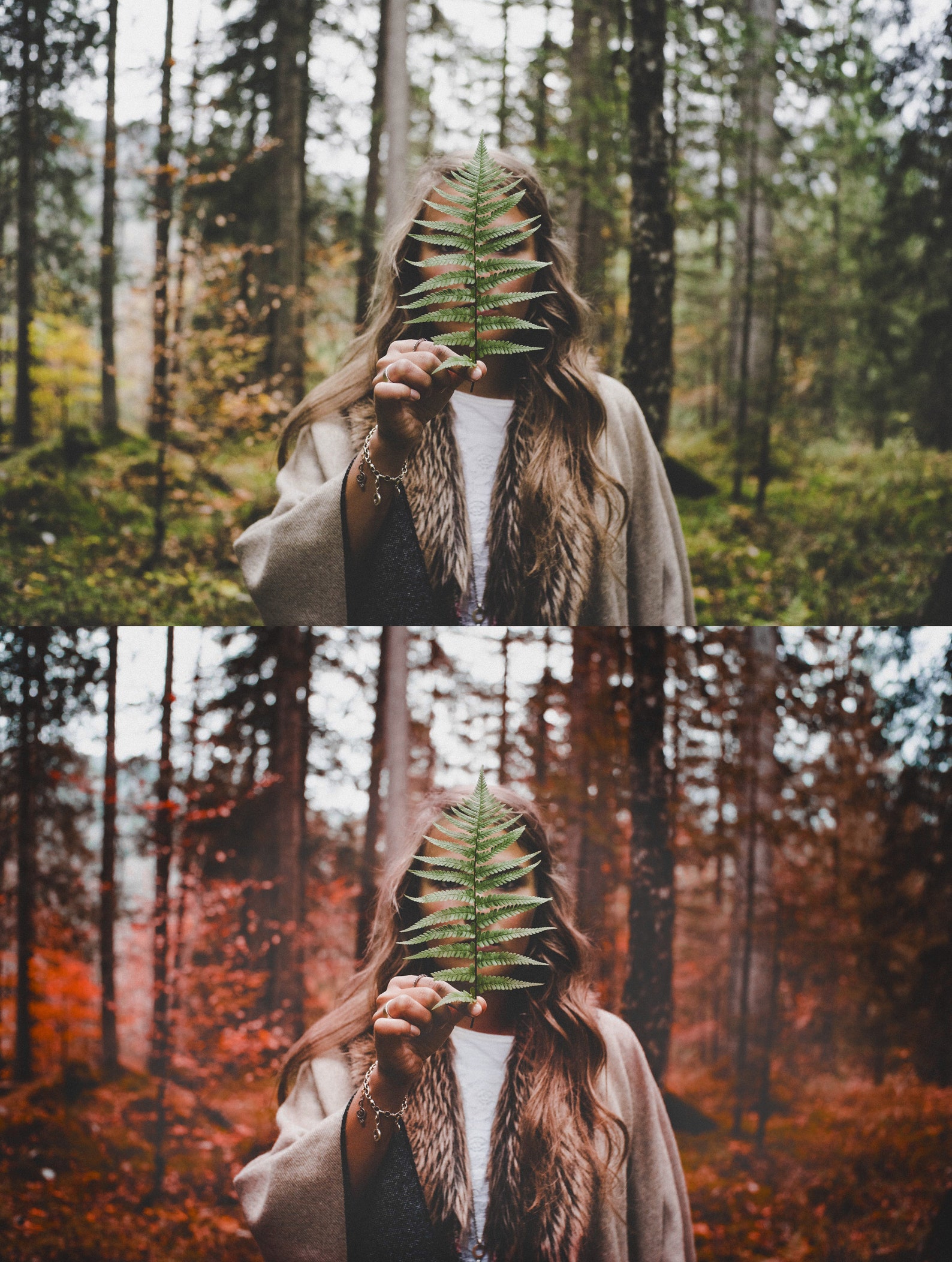 Fall Autumn Filters and Actions for Photoshop CC. VIDEO TUTORIAL! Spice ...