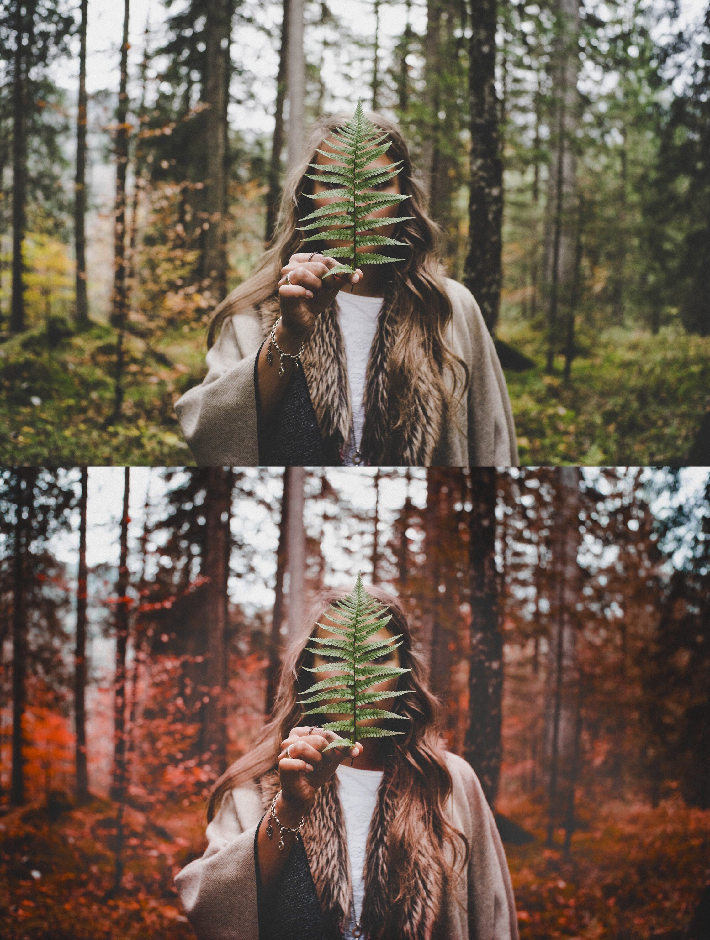 Fall Autumn Filters and Actions for Photoshop CC. VIDEO TUTORIAL! Spice ...