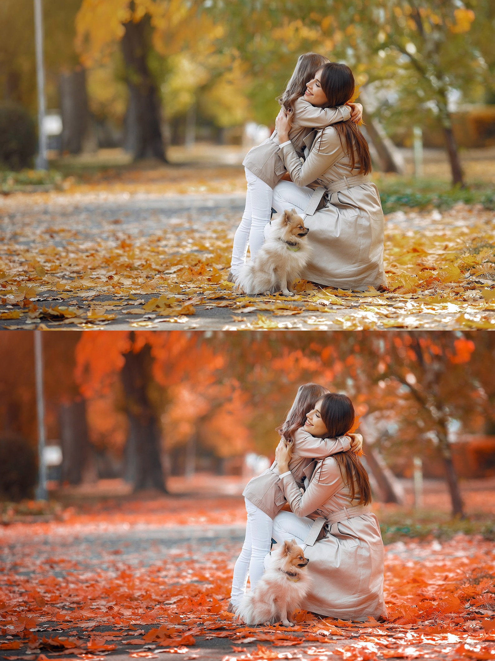 Fall Autumn Filters and Actions for Photoshop CC. VIDEO TUTORIAL! Spice ...