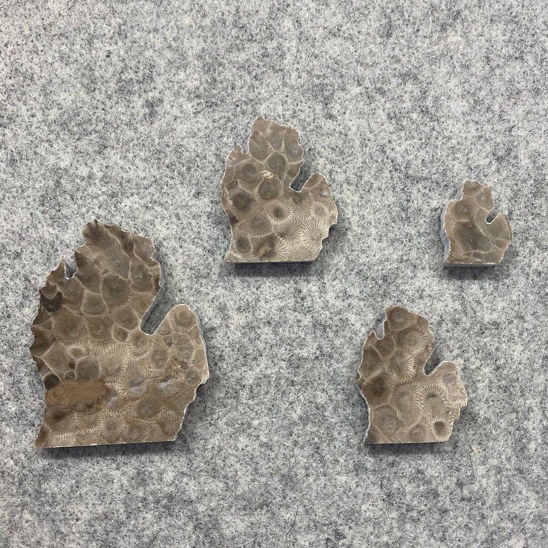 Michigan Shaped Petoskey Magnet Petoskey Stone Gift - Etsy