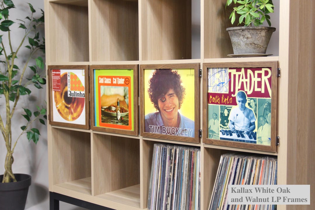 IKEA Kallax Ideas Shelf LP Art Frame Door / for Vinyl Record Storage ...
