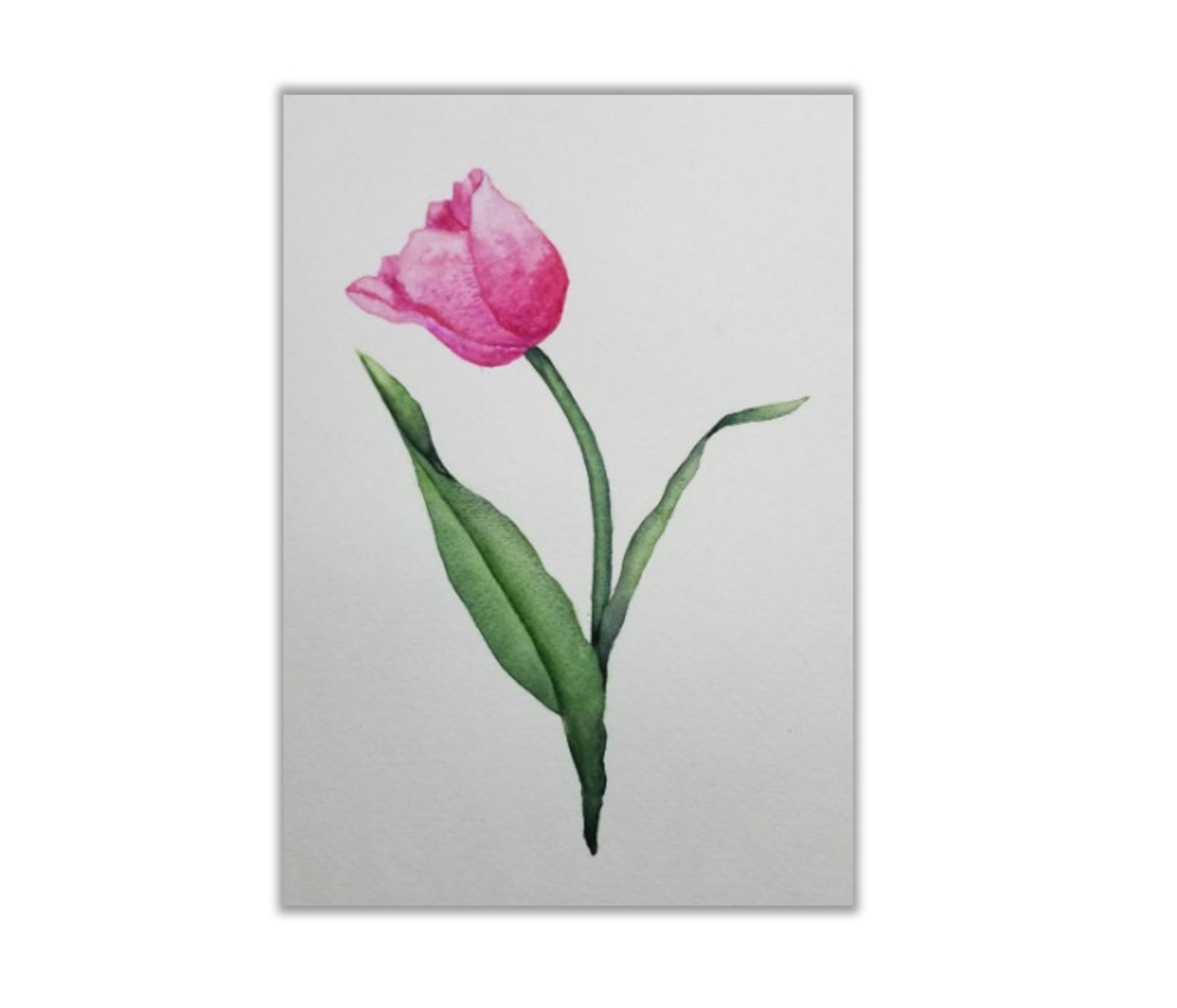 Tulip Flower Original Watercolor Painting Print - Etsy