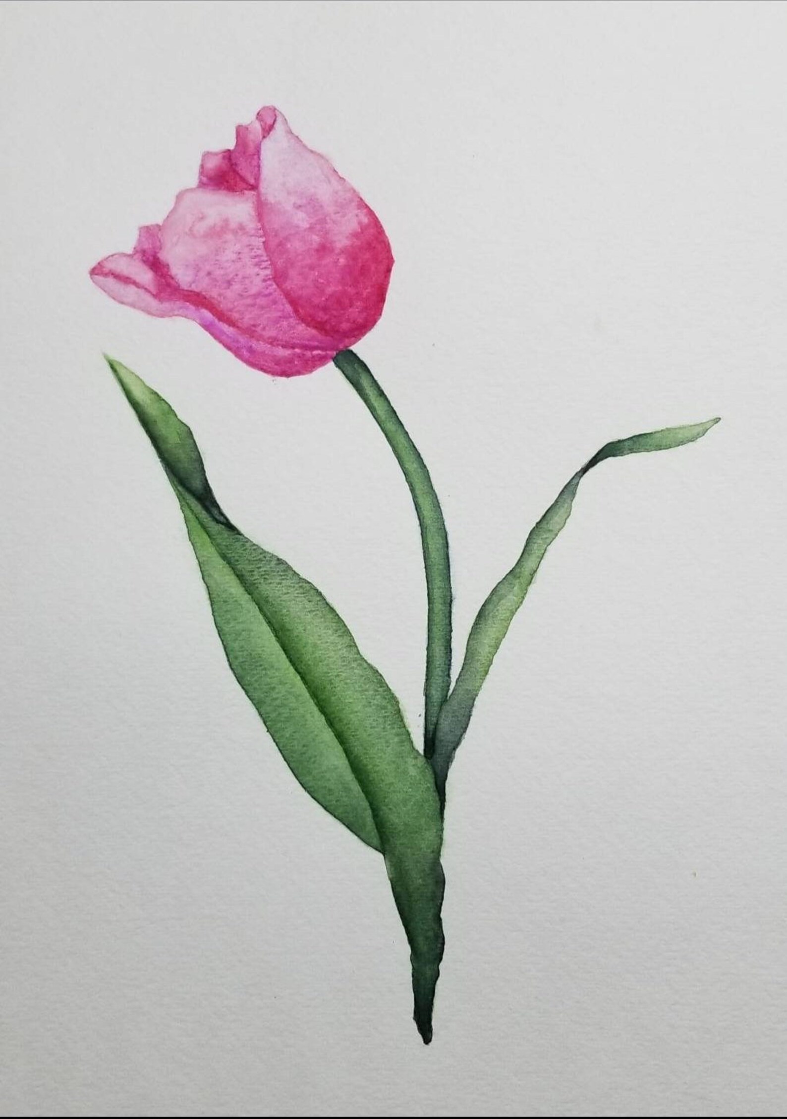 Tulip Flower Original Watercolor Painting Print - Etsy
