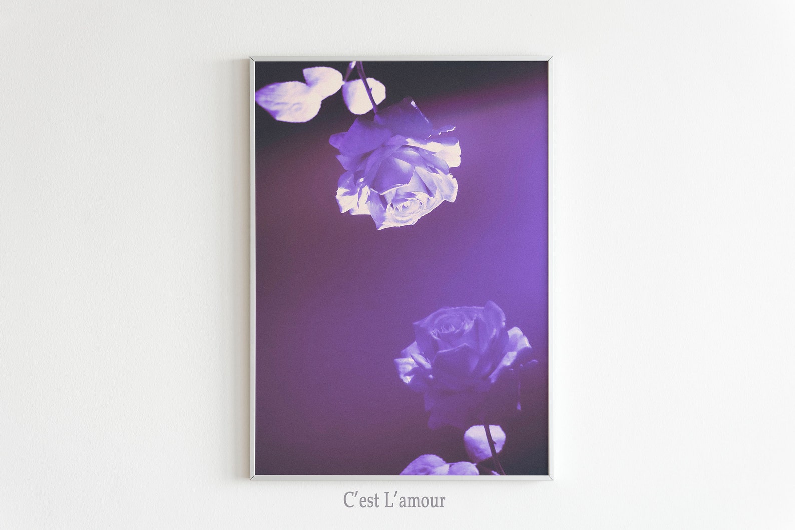 Rose Abstract Print Floral Printable Download Botanical Art - Etsy