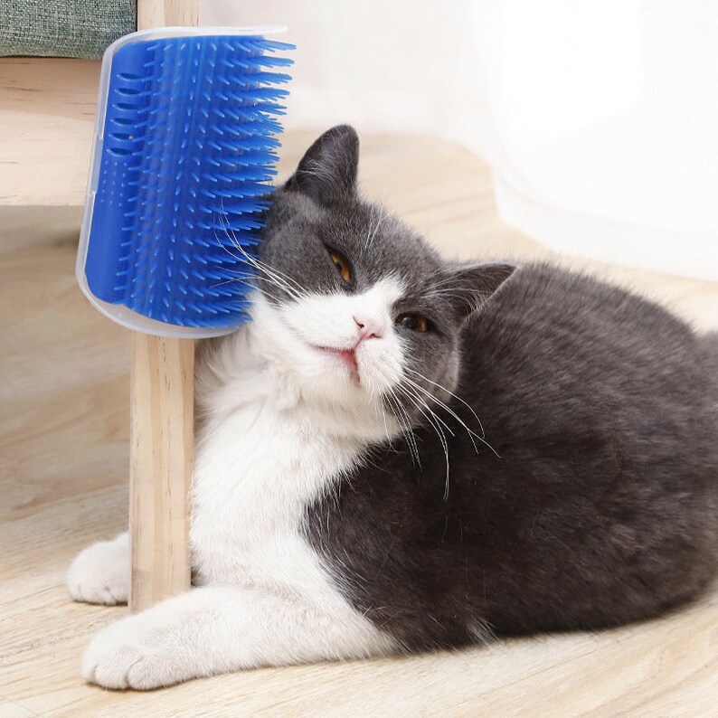 Cat Self Groomer With Catnip | Wall Brush Cat Corner Scratcher | Face ...