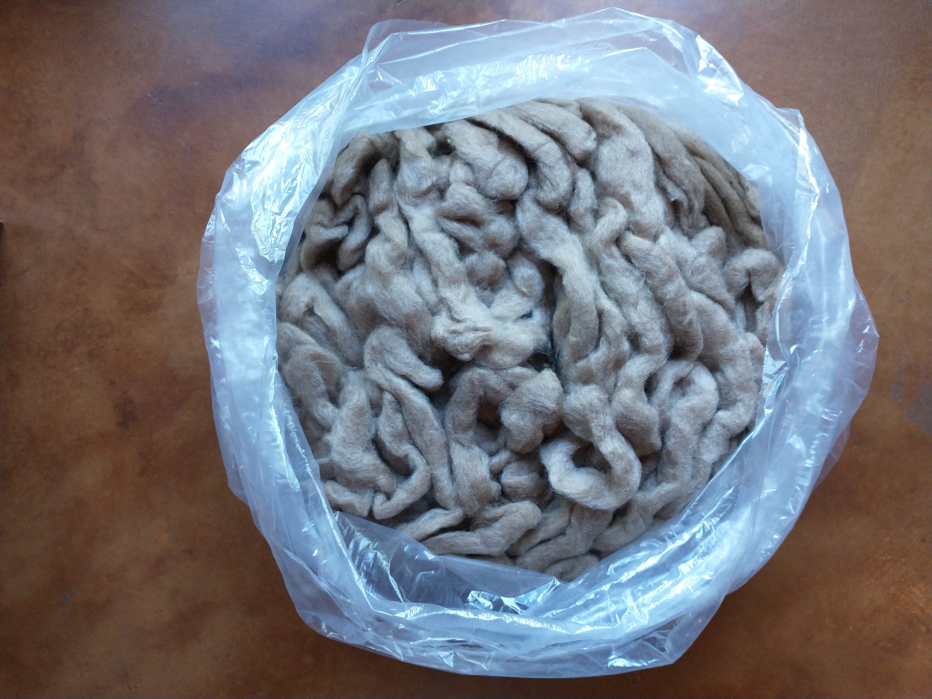 Shetland Sheep Roving From Ginger 4 Oz - Etsy